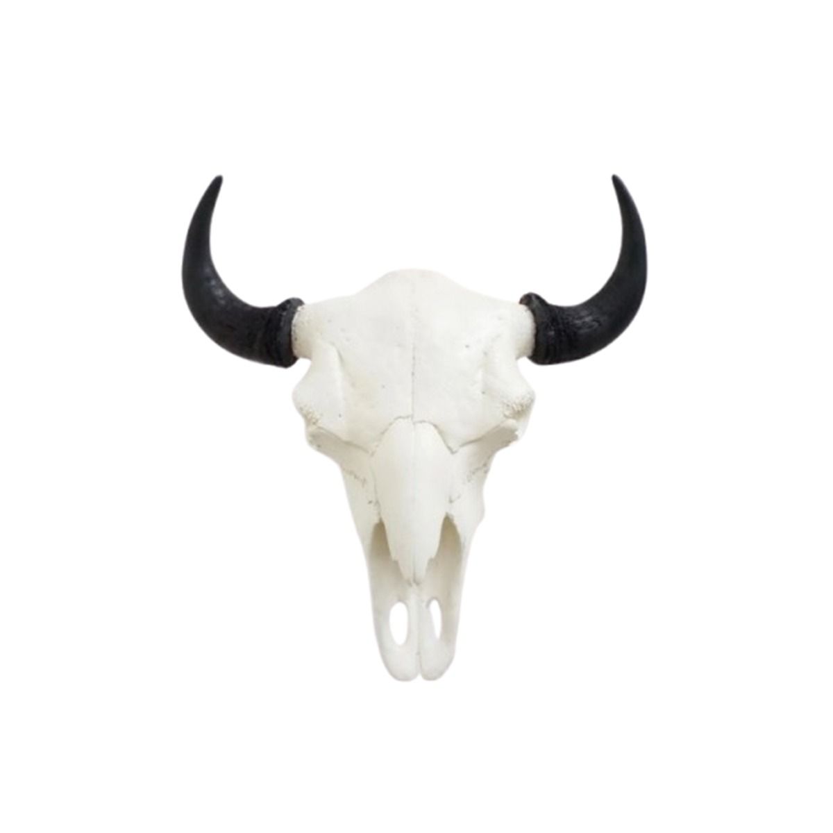 Bison European Mount