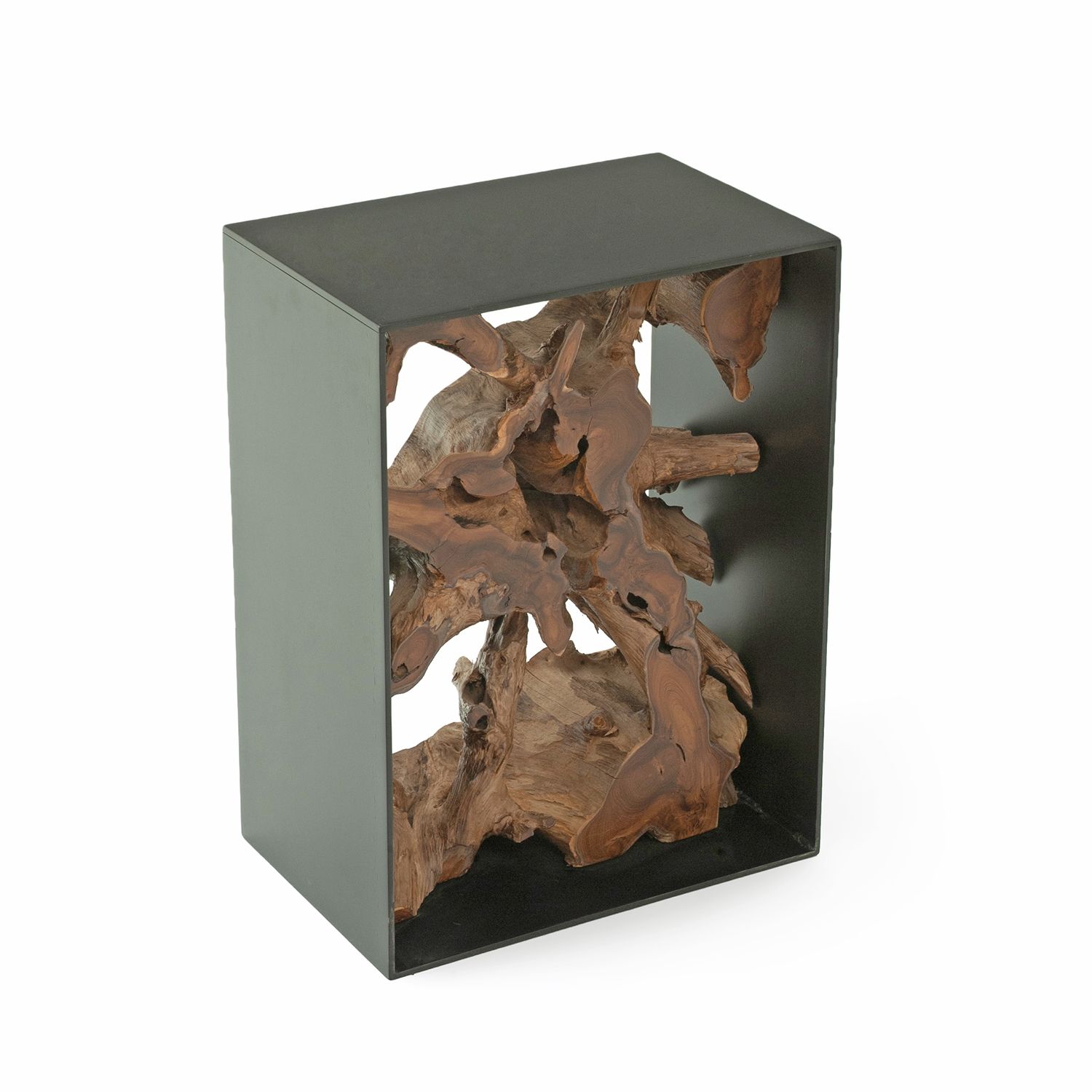 Modern Root End Table