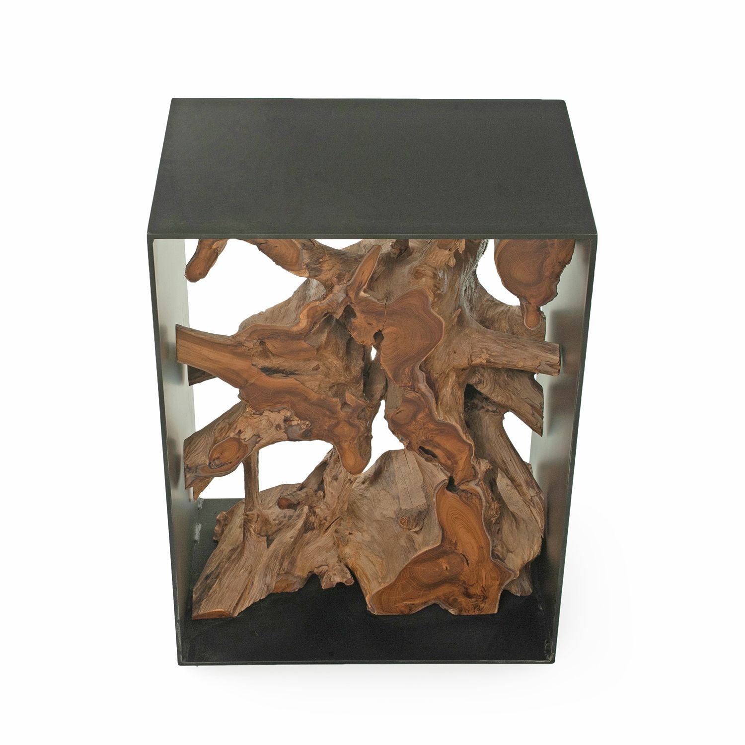 Modern Root End Table