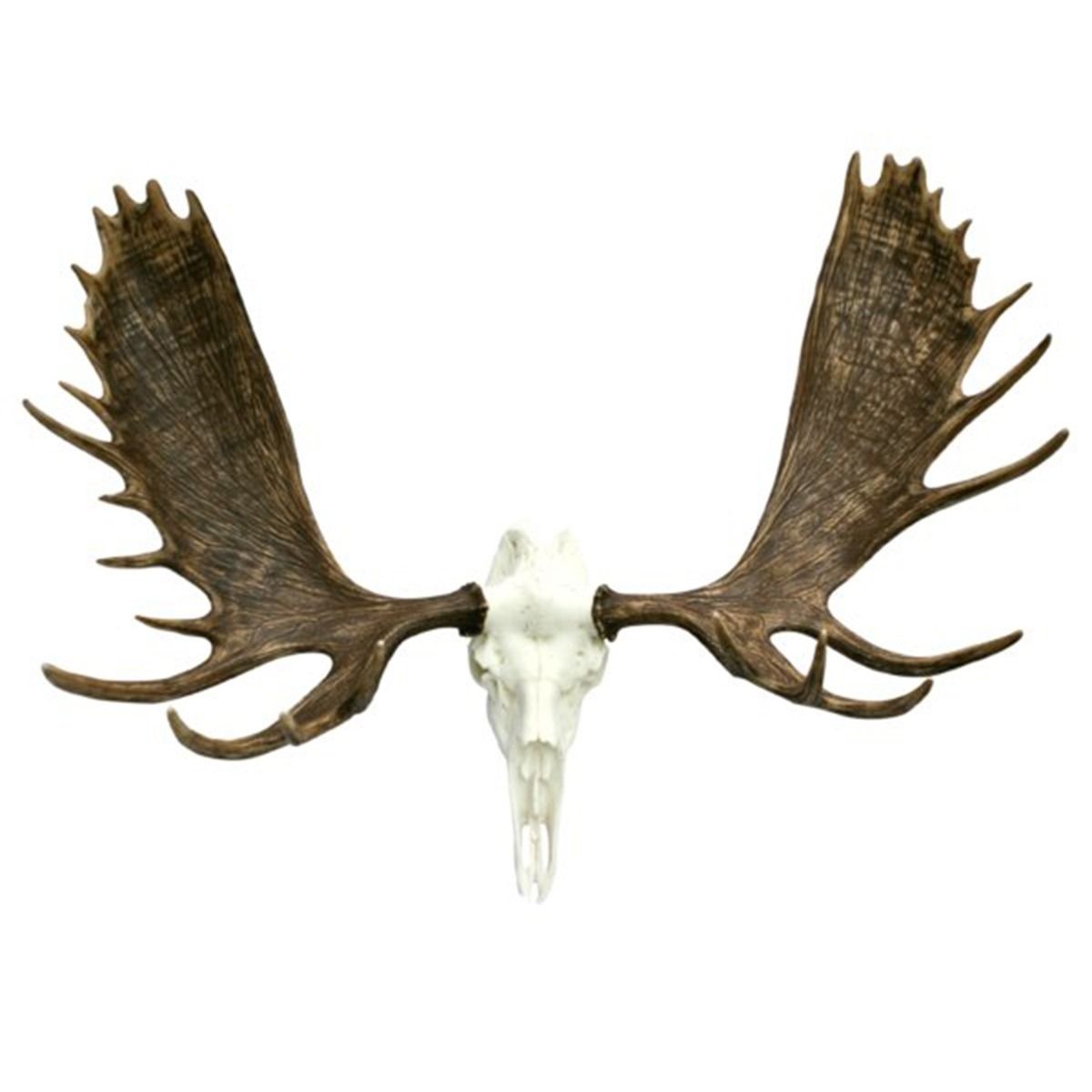 Moose Set European Mount