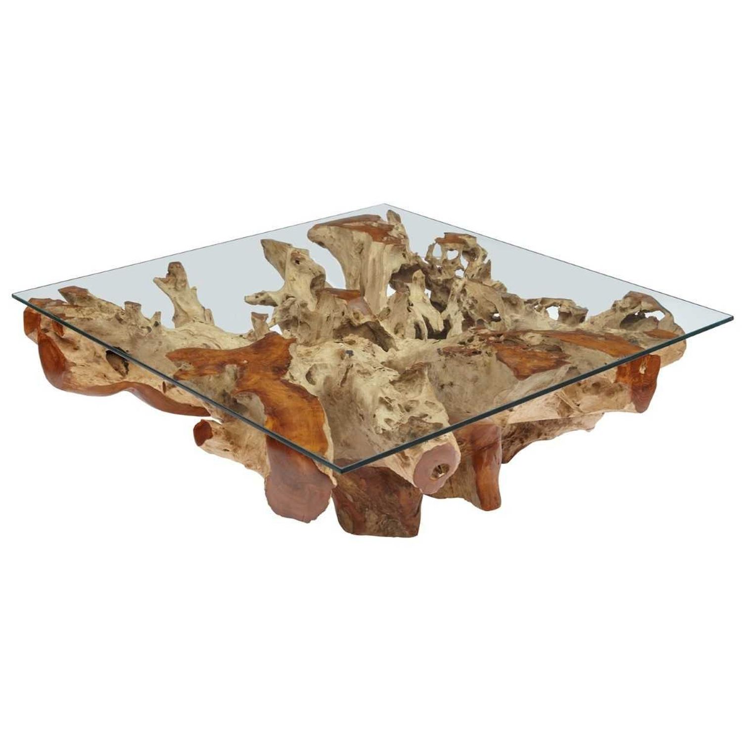 Root Coffee Table with Glass Top