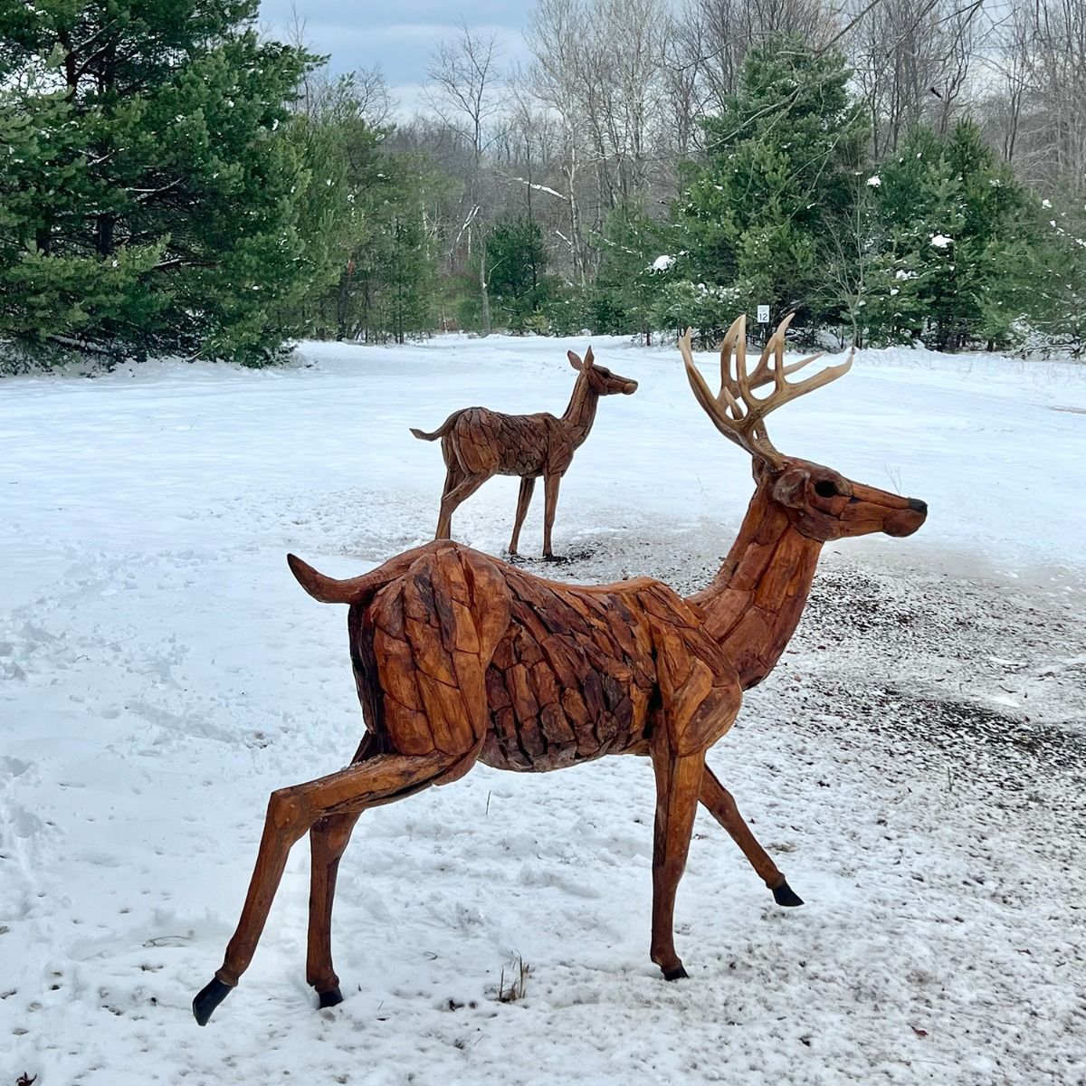 Rustic Driftwood Whitetail Deer