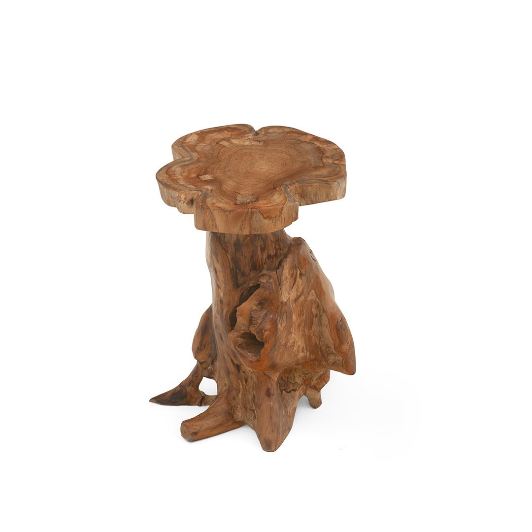 Rustic Teak Stump End Table
