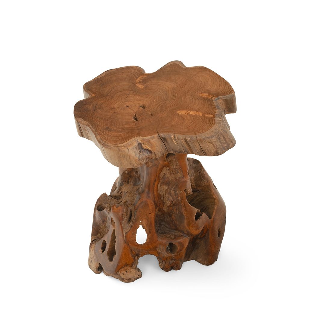 Rustic Teak Stump End Table