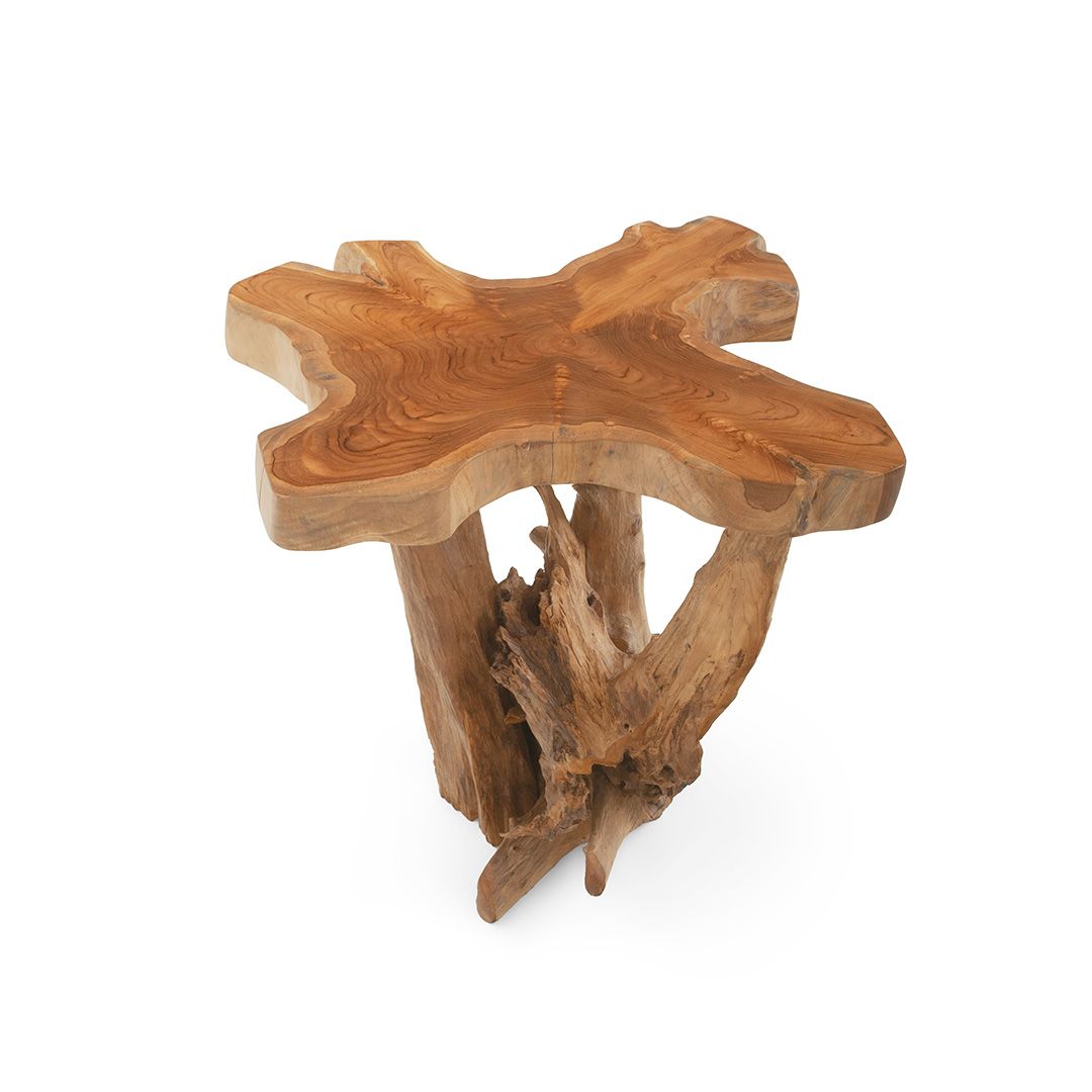 Rustic Root End Table