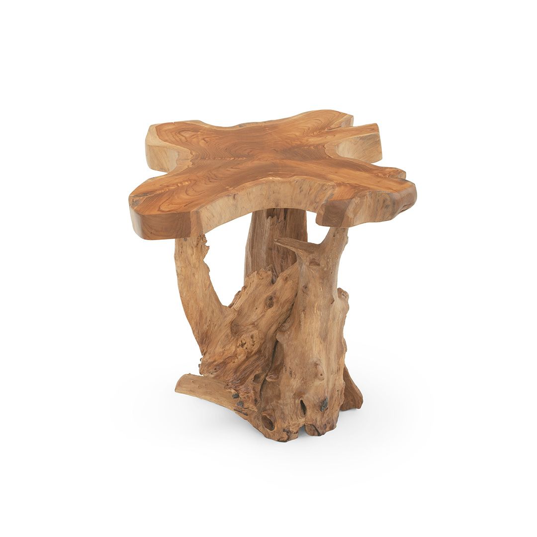Rustic Root End Table