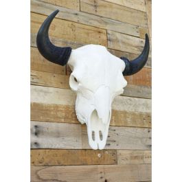 Bison European Mount